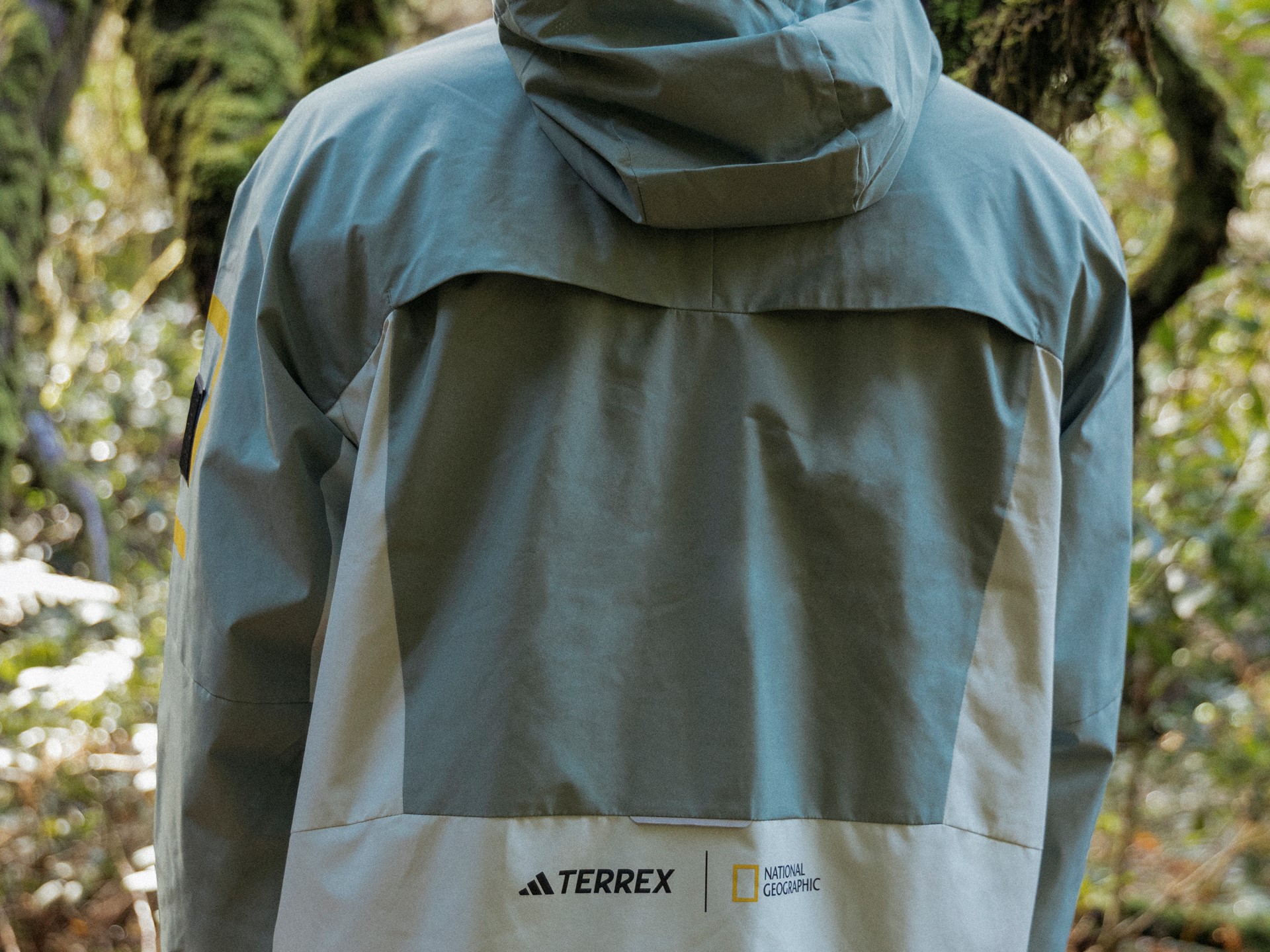 adidas Terrex | National Geographic Rainforest-Inspired Hiking Collection