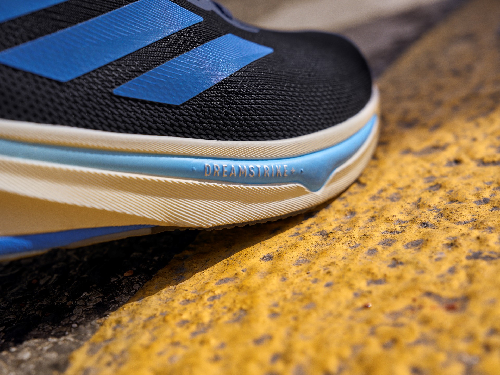 The Supernova Rise 2