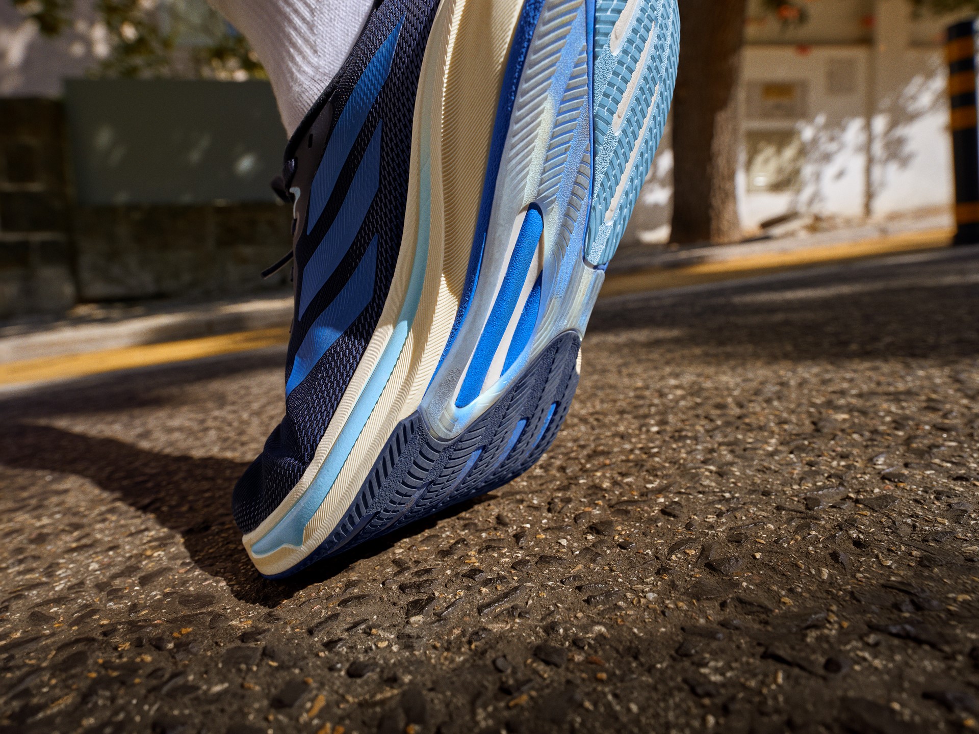 The Supernova Rise 2