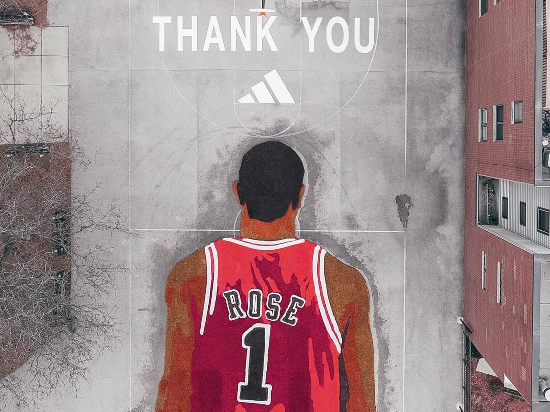 Roses for Chicago: honoring Derrick Rose in the city that raised him