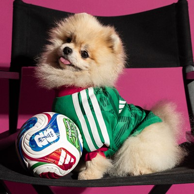 adidas Expands Pet Collection With FIFA World Cup 2026™ Home Jerseys ...