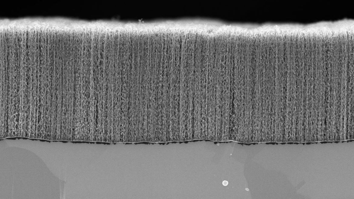 Zeta Energy's Lithium-Sulfur Batteries