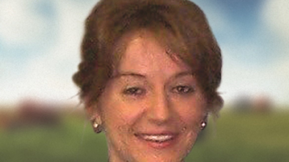 Sally Johnson Appointed as Vice President for New Holland Agriculture ...