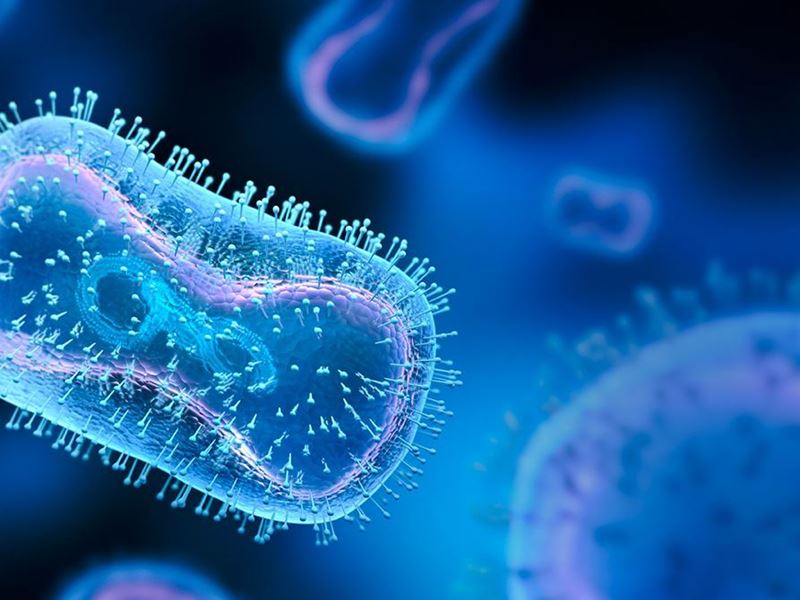 Newsroom | College of American Pathologists : CAP Introduces Mpox ...