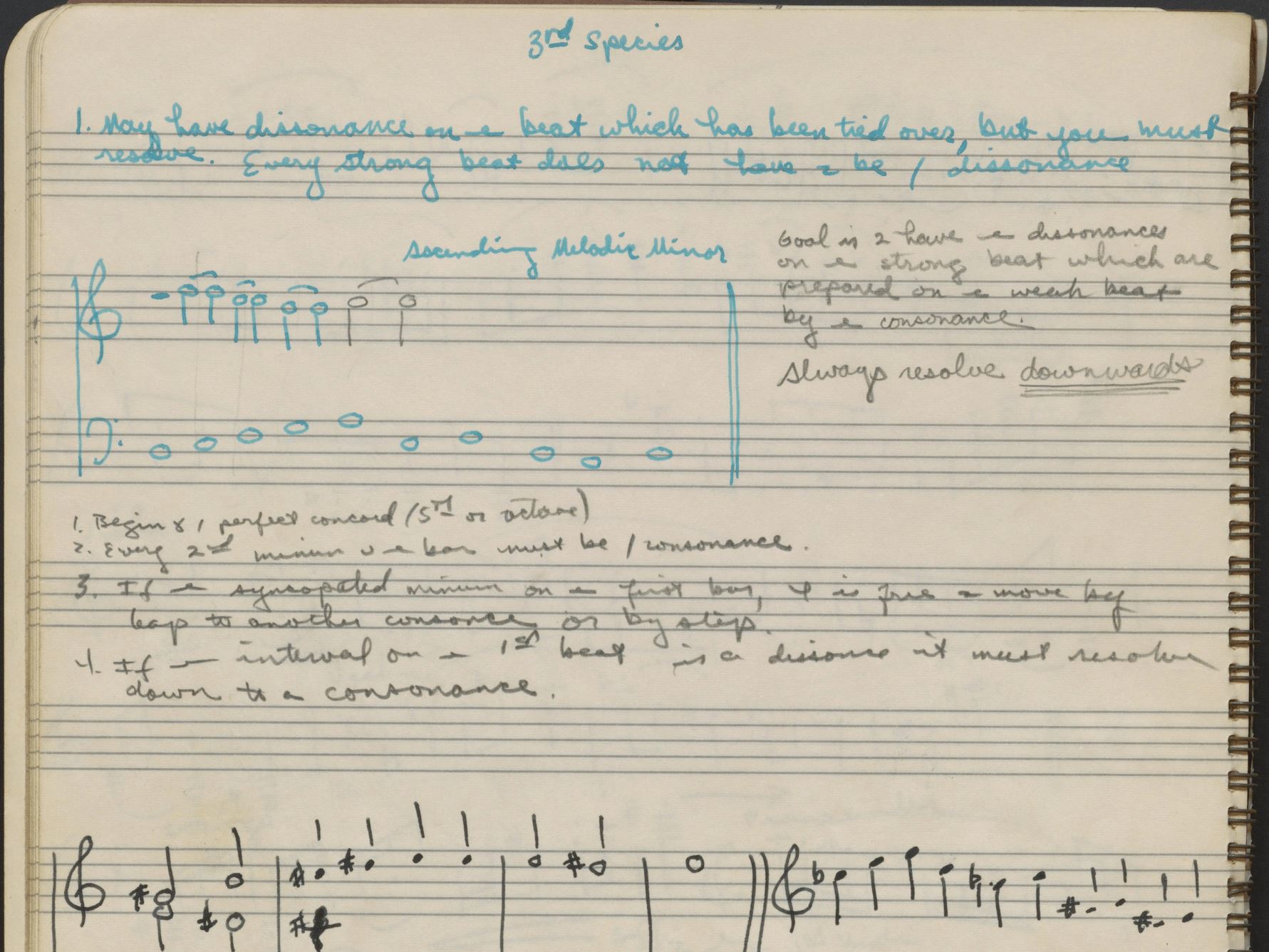 Music Theory Notebook