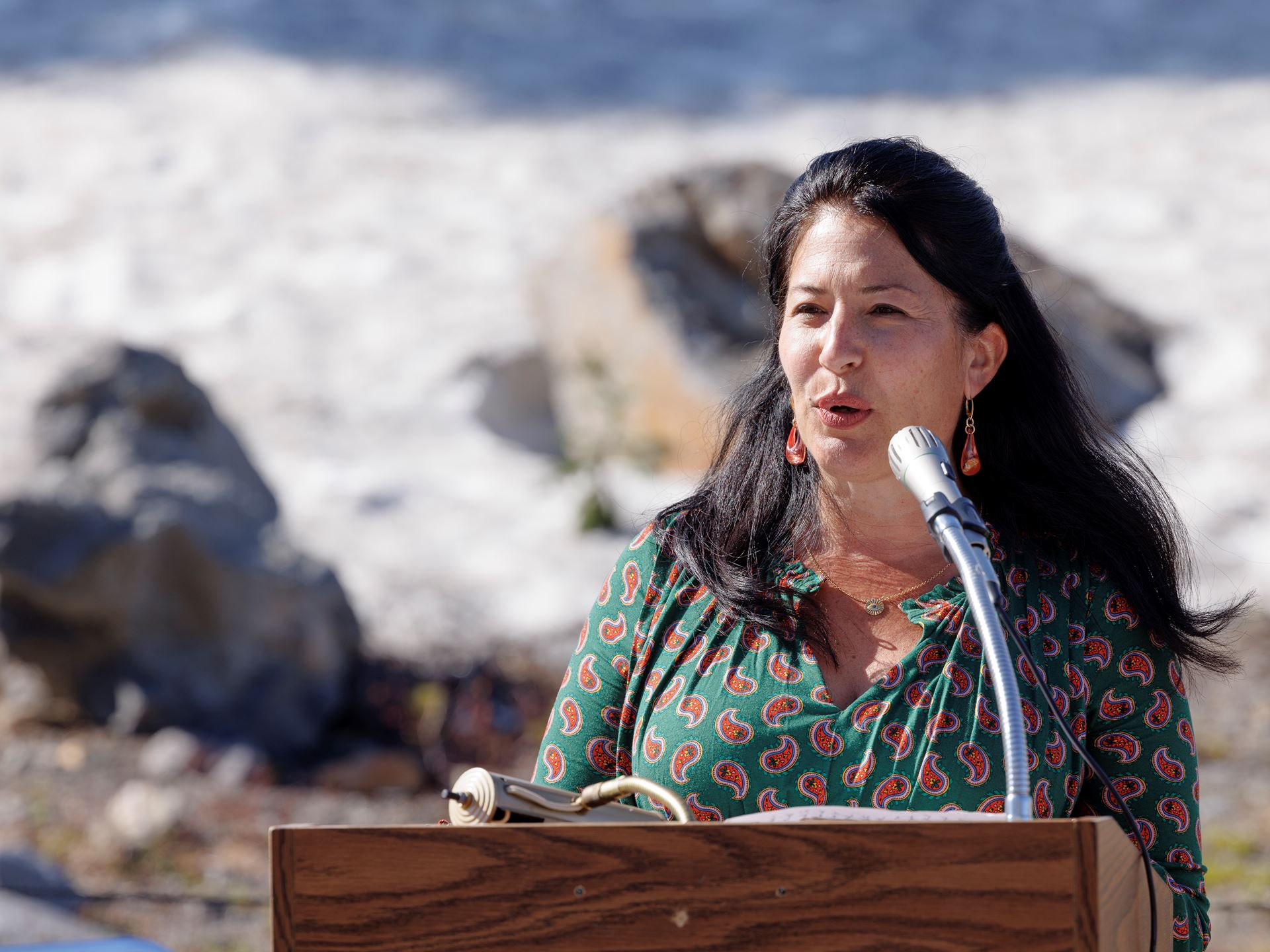 Mount Rainier Installation 2