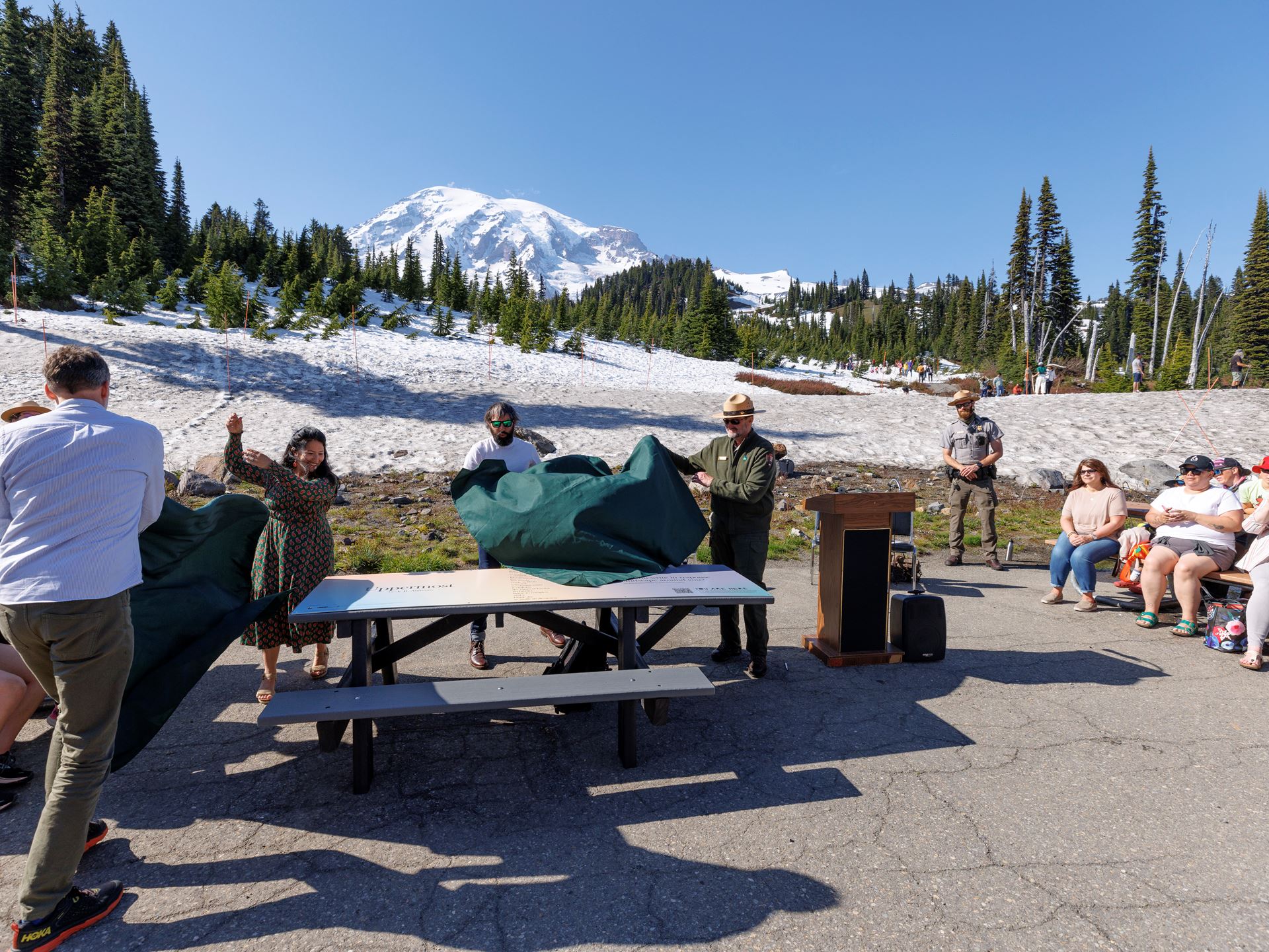 Mount Rainier Installation 3