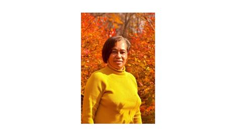 Library of Congress - News and Content for Media