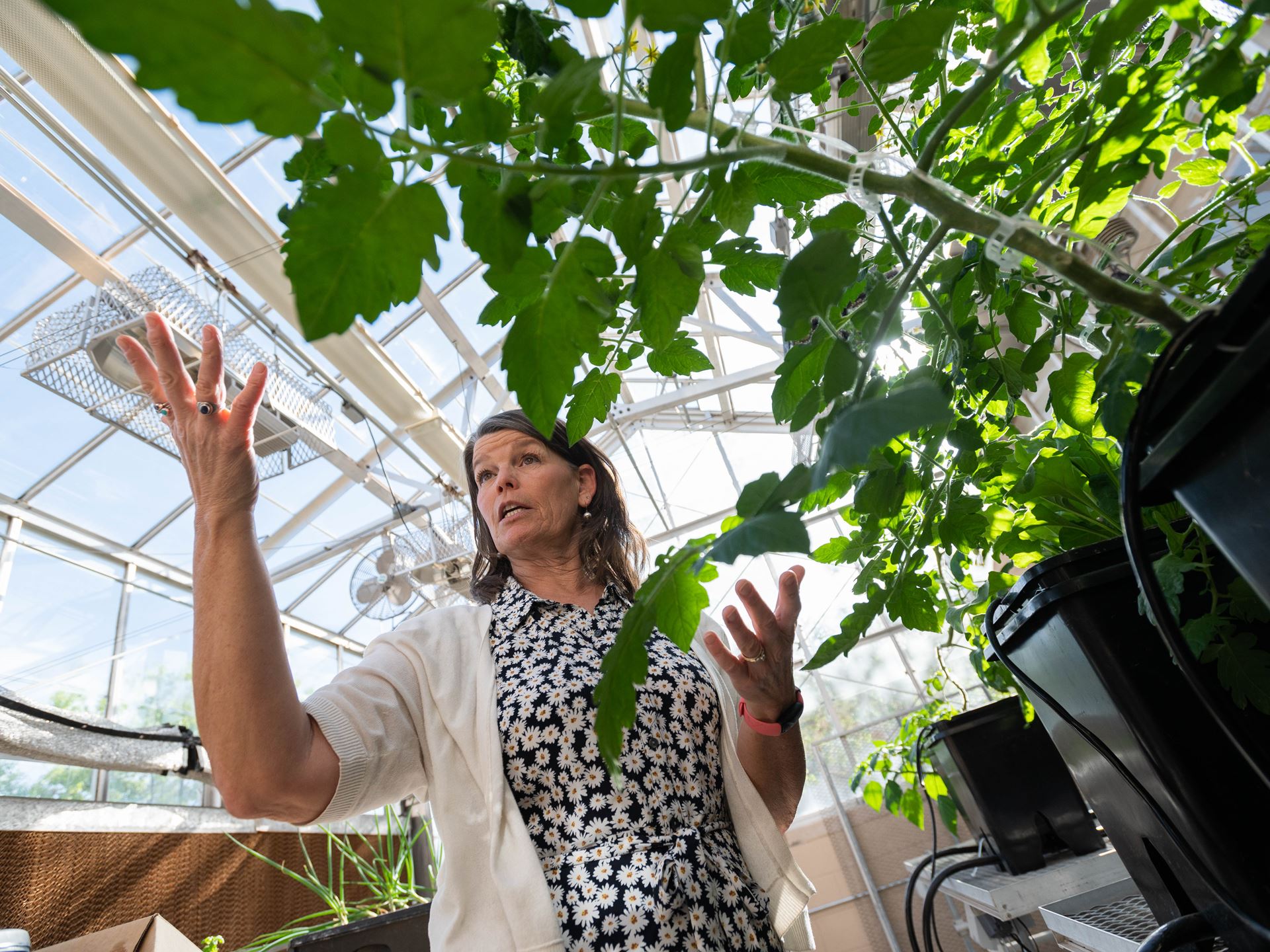 NMSU_Hydroponics_Classes_041422-6