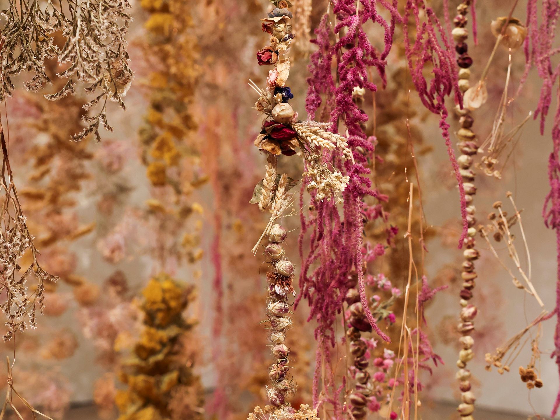 Saatchi Flowers MattChung