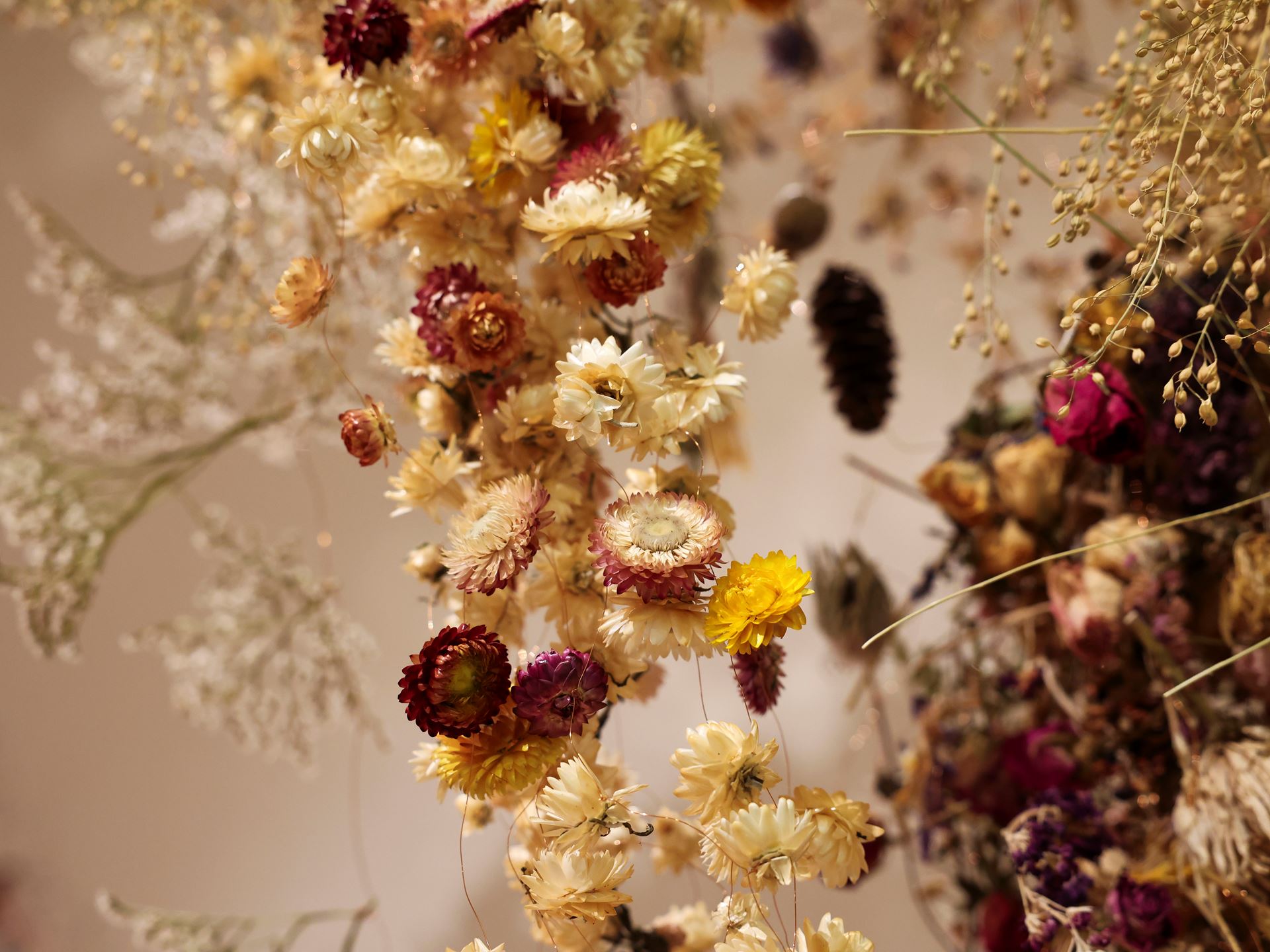 Saatchi Flowers MattChung