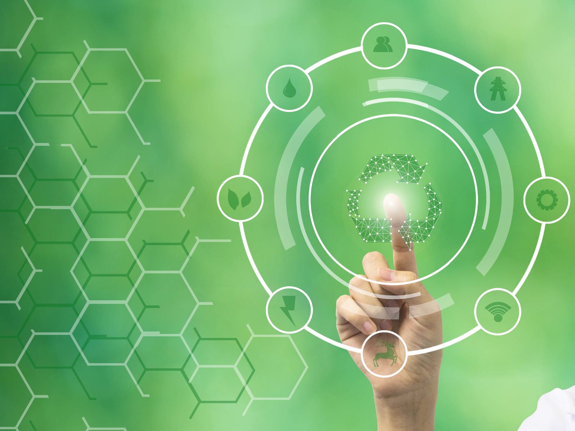 Circular Economy circular-economy