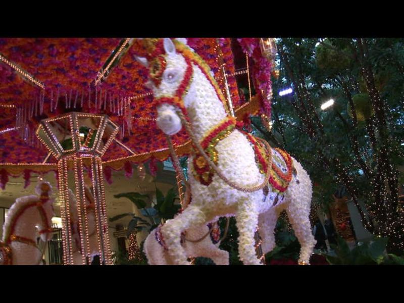 Wynn Las Vegas Flower Carousel | Best Flower Site