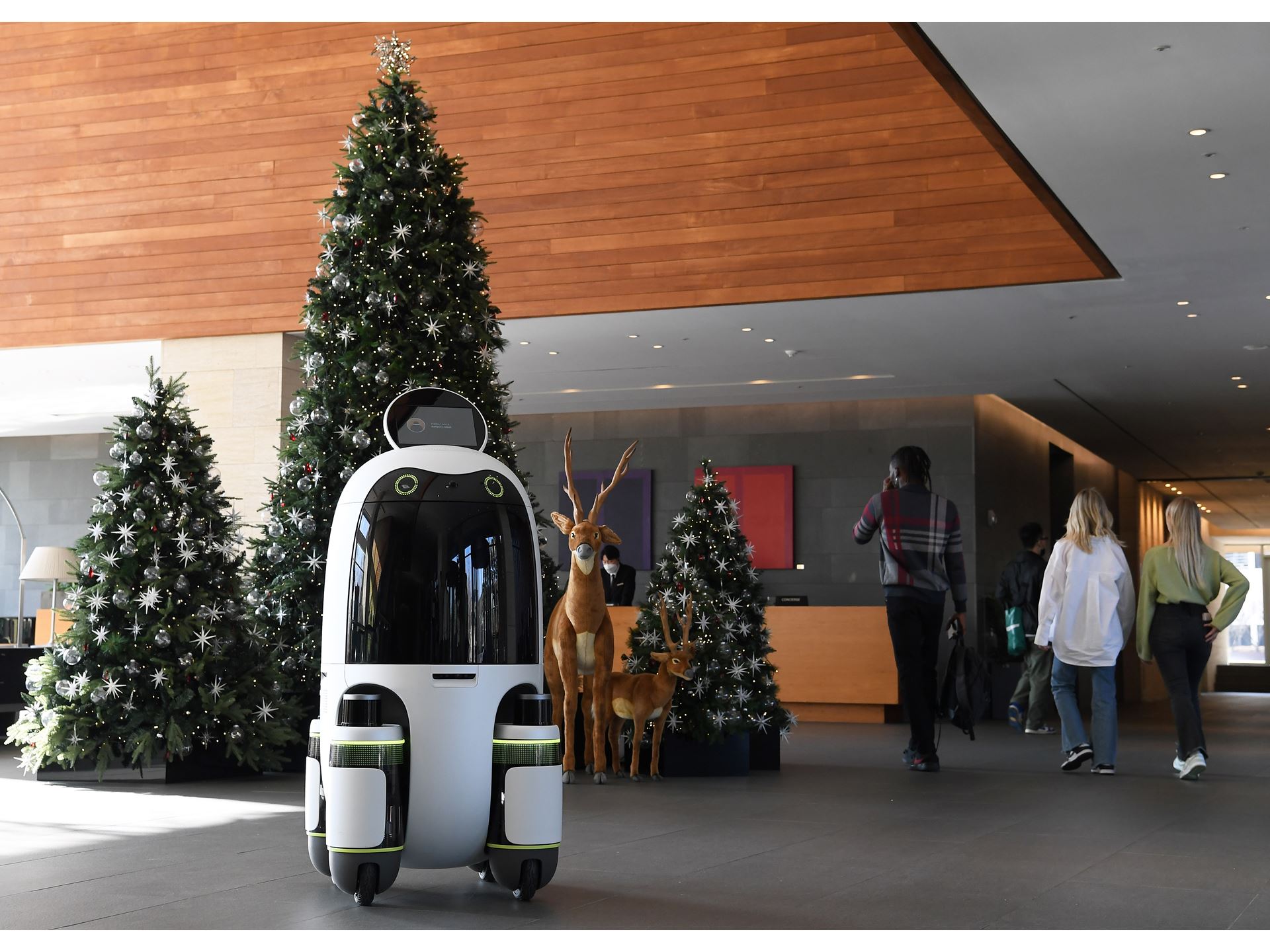 Hyundai Motor Group Robots Get Rolling with Pilot Programs to Advance ...