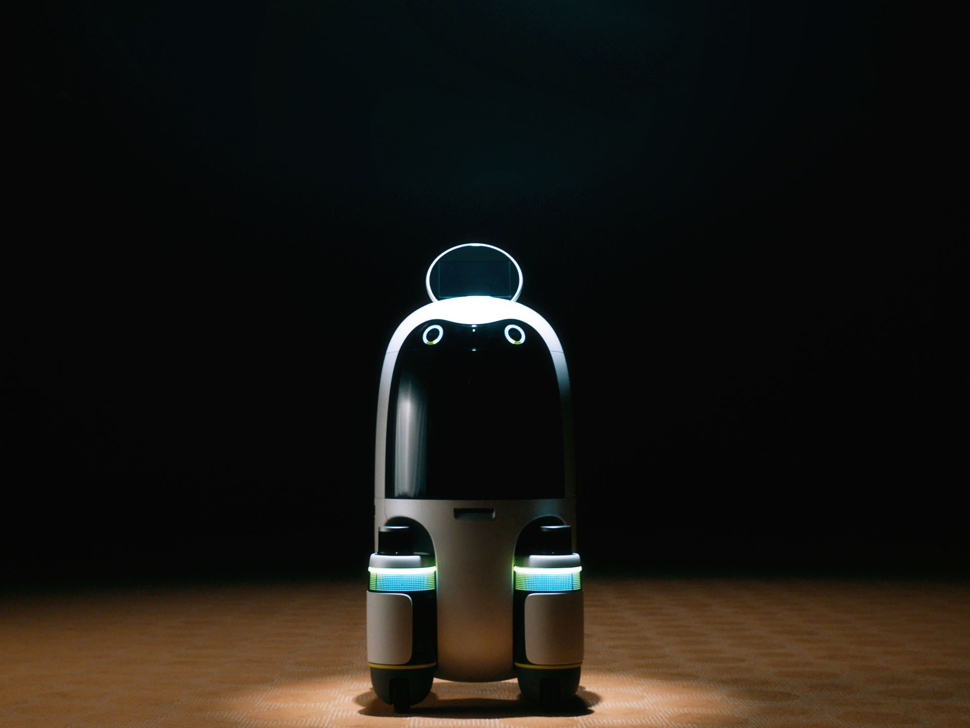 Hyundai Motor Group Robots Get Rolling with Pilot Programs to Advance ...