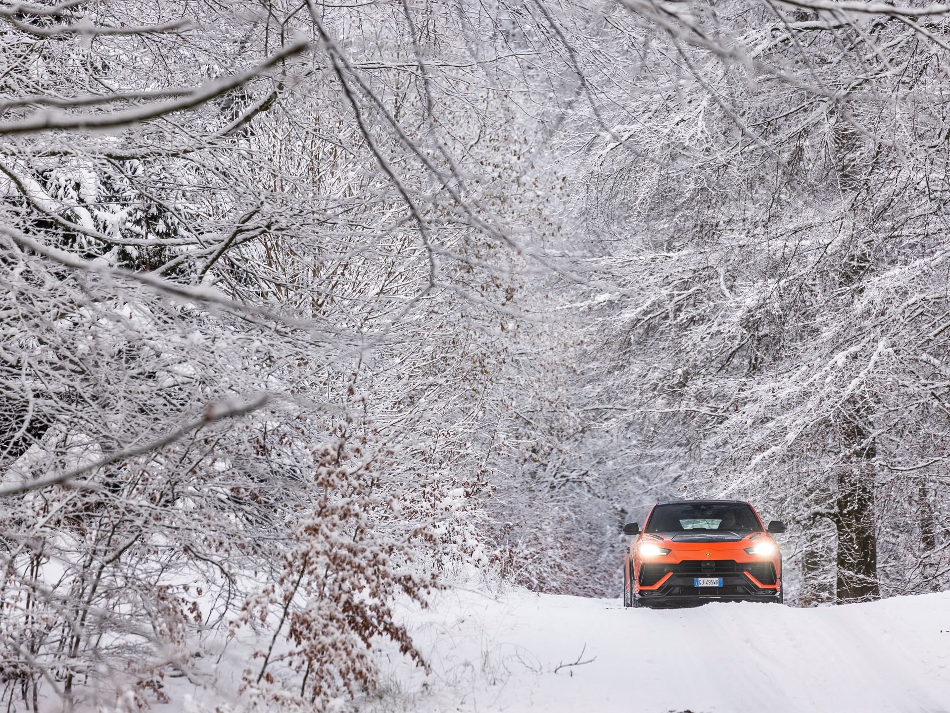 winter Drive Dec 2022