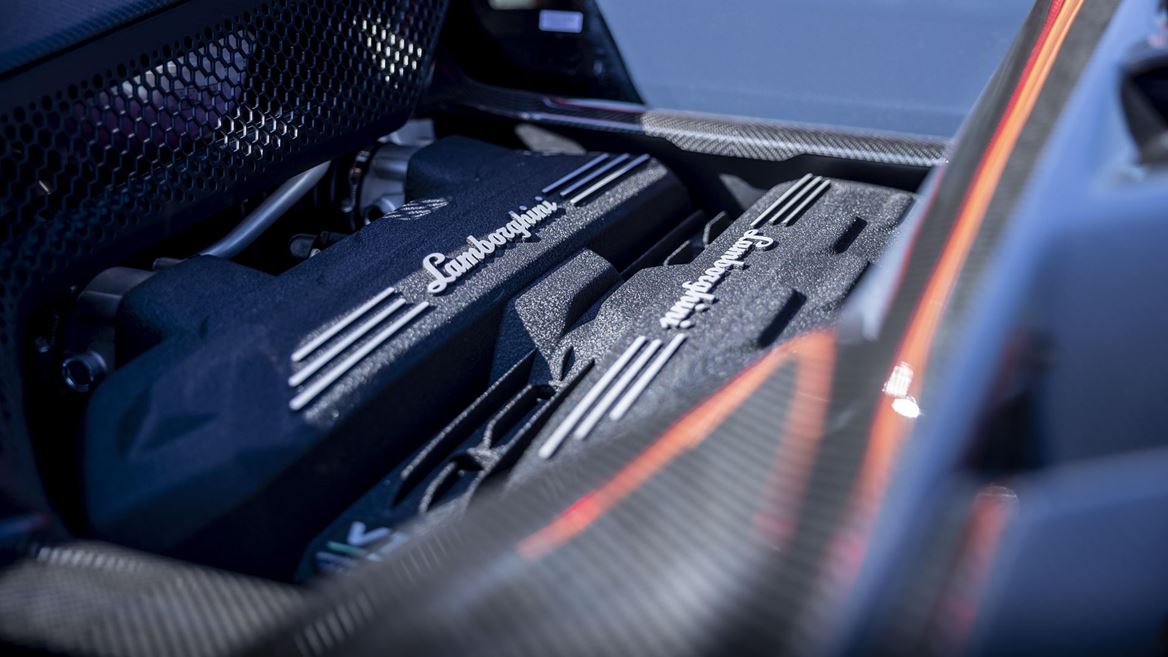 Revuelto Details